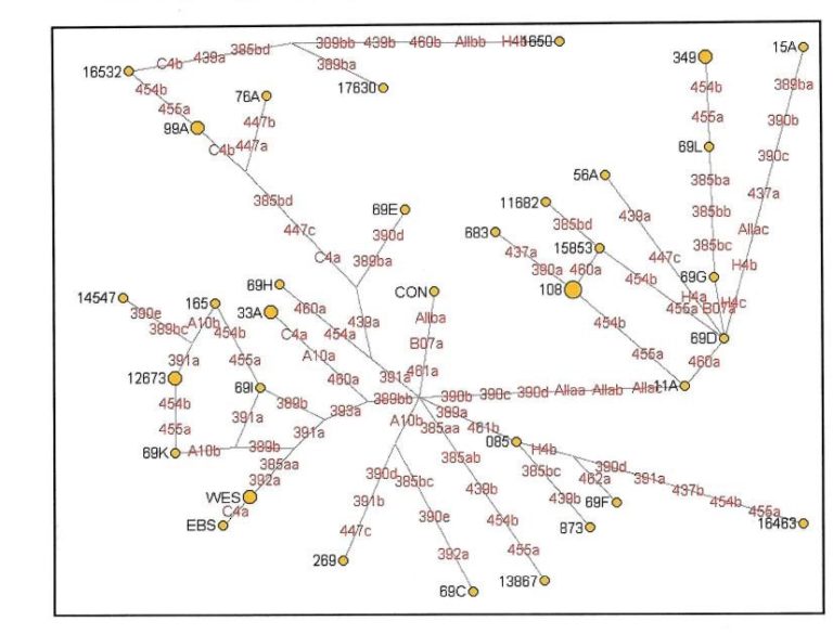 DNA Study – The Fitzpatrick – Mac Giolla Phádraig Clan Society
